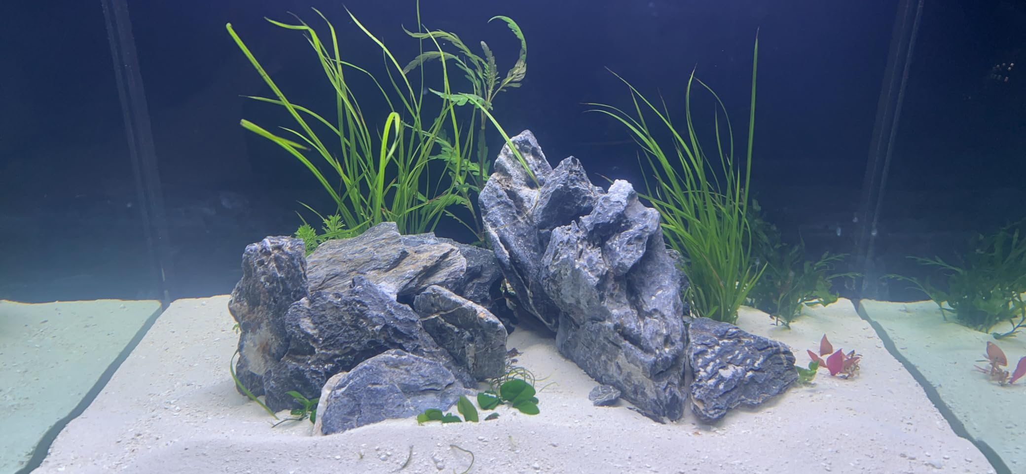 Pisces 15lb Seiryu Rock for Aquascaping, Aquariums, Terrariums ...