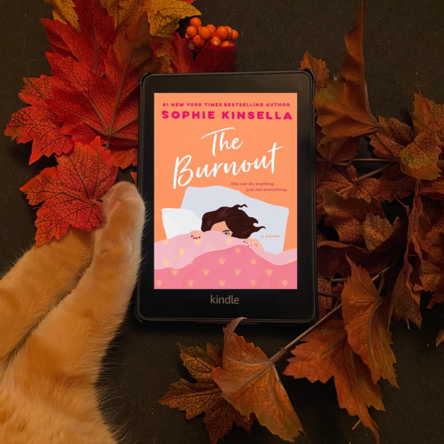 The Burnout: A Novel : Kinsella, Sophie: Amazon.ca: Books