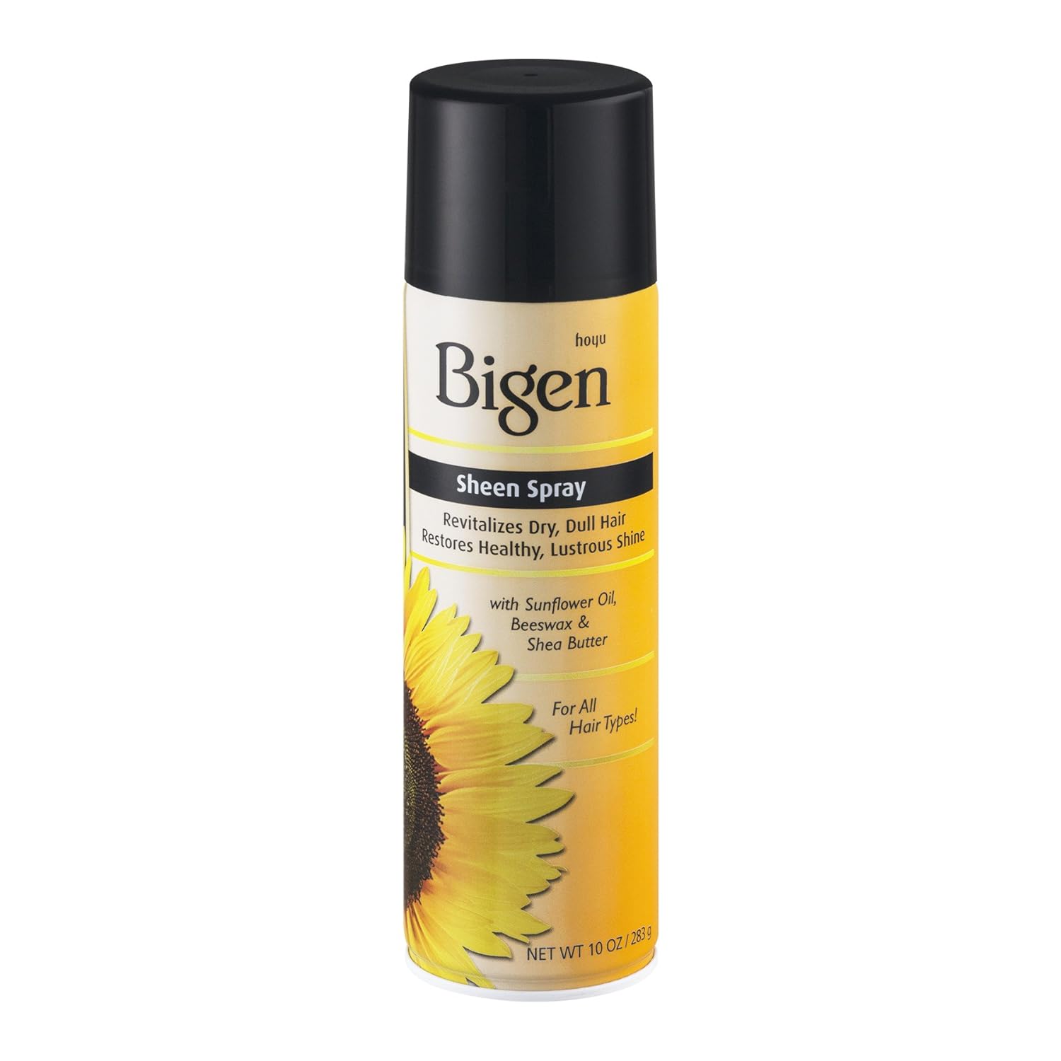 Amazon.com : Bigen Sheen Spray, 10 Ounce : Hair And Scalp Treatments ...