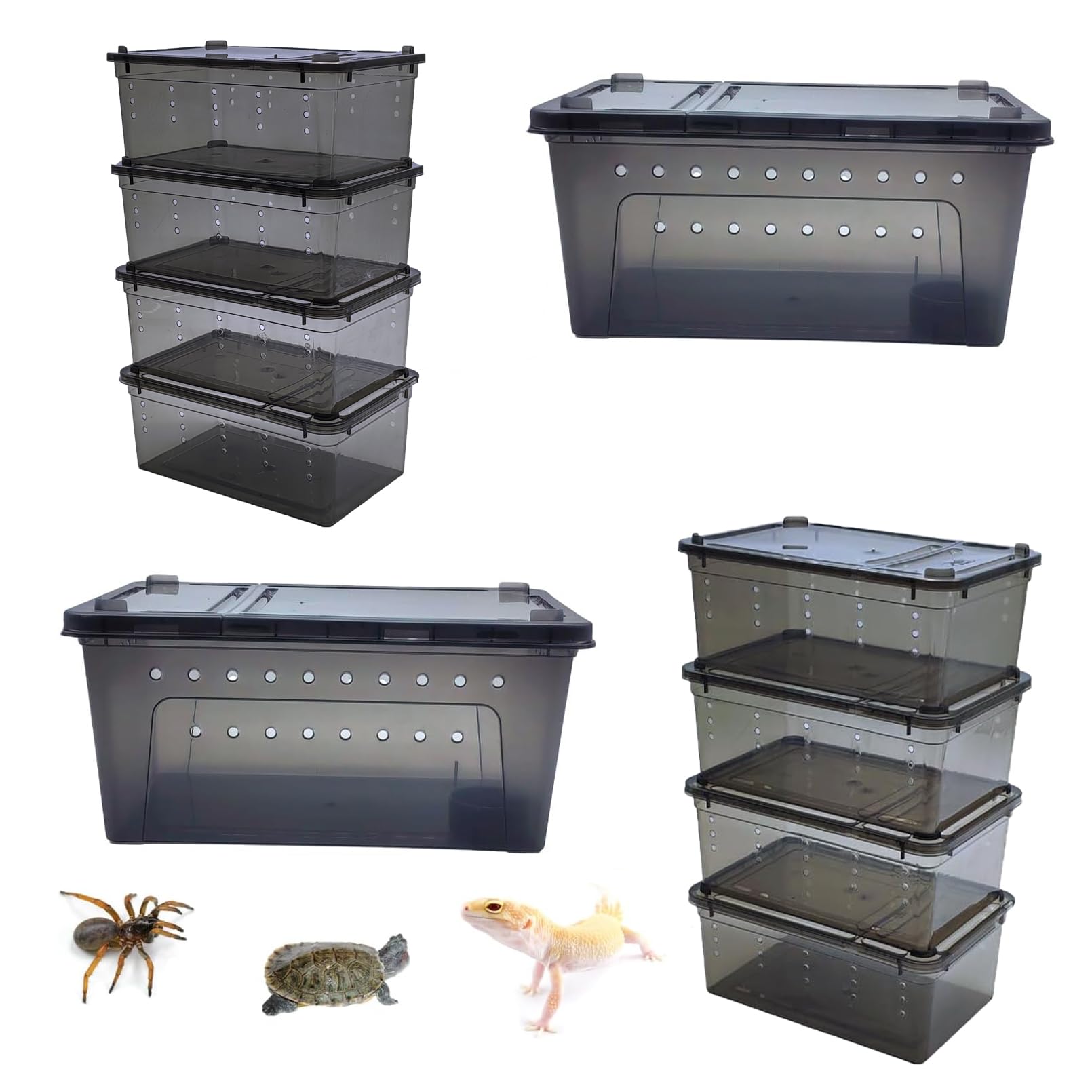 Amazon.com : PINVNBY 10 PCS Reptile Feeding Box Portable Snake Breeding ...