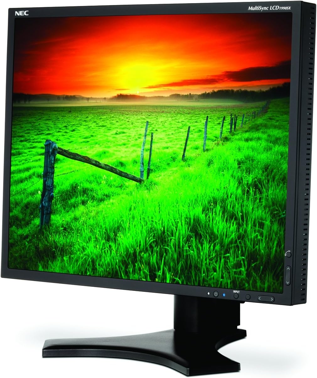 Amazon.com: NEC LCD1990SX-BK 19-Inch 1500:1 LCD with DVI (Black ...