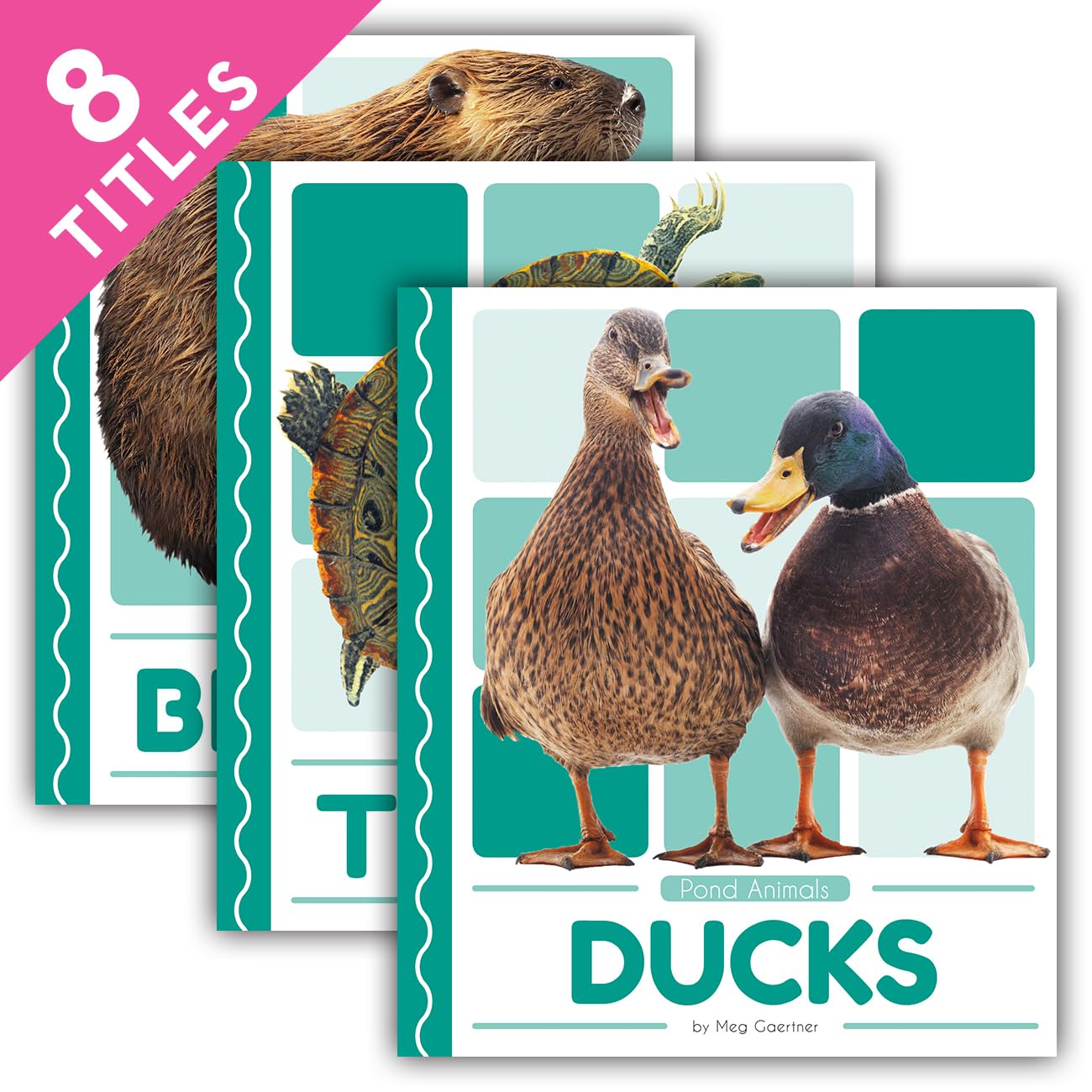 Pond Animals: Gaertner, Meg, Lilley, Matt: 9781532162039: Amazon.com: Books