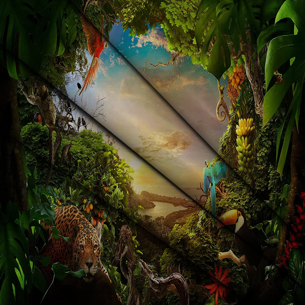 Fundo De Selva Real Banco De Fotos De Floresta Amazonia, Imagens, Tudo