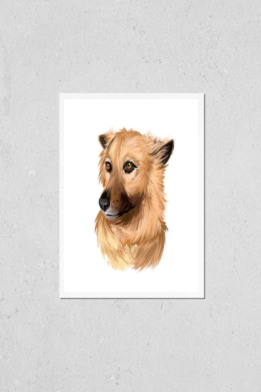 What Is The Breed Of Garafian Shepherd