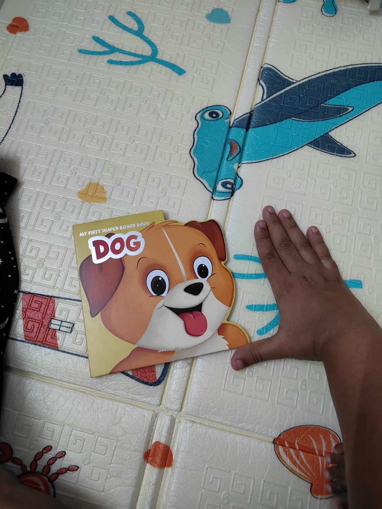 My First Shaped Board Book - Dog, Die-Cut Animals, Picture Book for ...