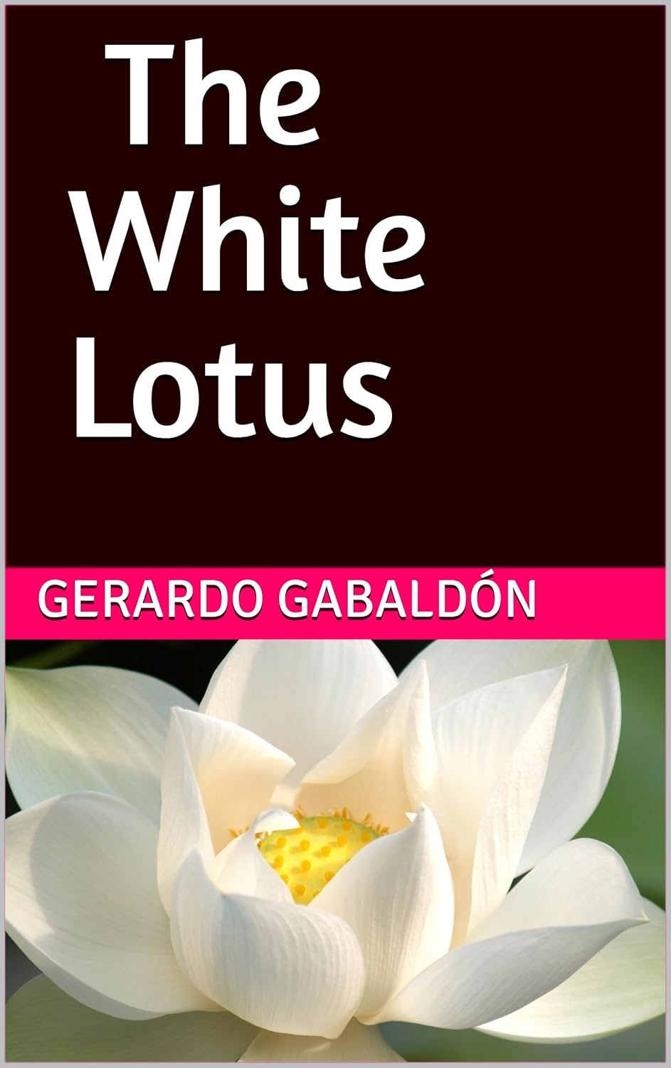 Amazon.com: The White Lotus eBook : Gabaldón, Gerardo, Gutiérrez Campos, David : Kindle Store