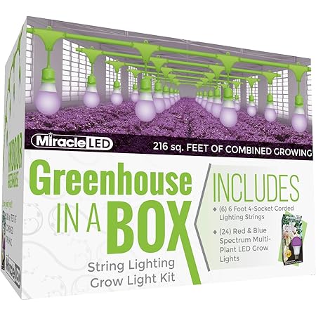 Amazon.com: Miracle LED Greenhouse in a Box Grow Kit for Indoor Plants ...