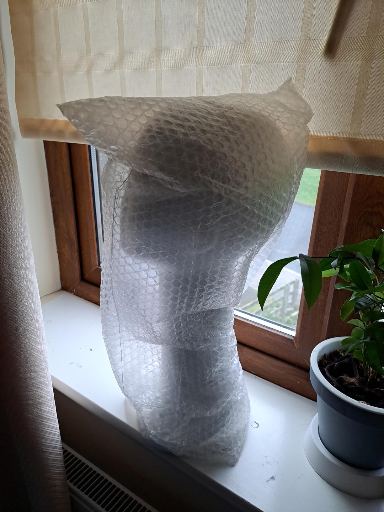 Steellwingsf Foam Female Human Head Long Neck Mannequin Polystyrene ...