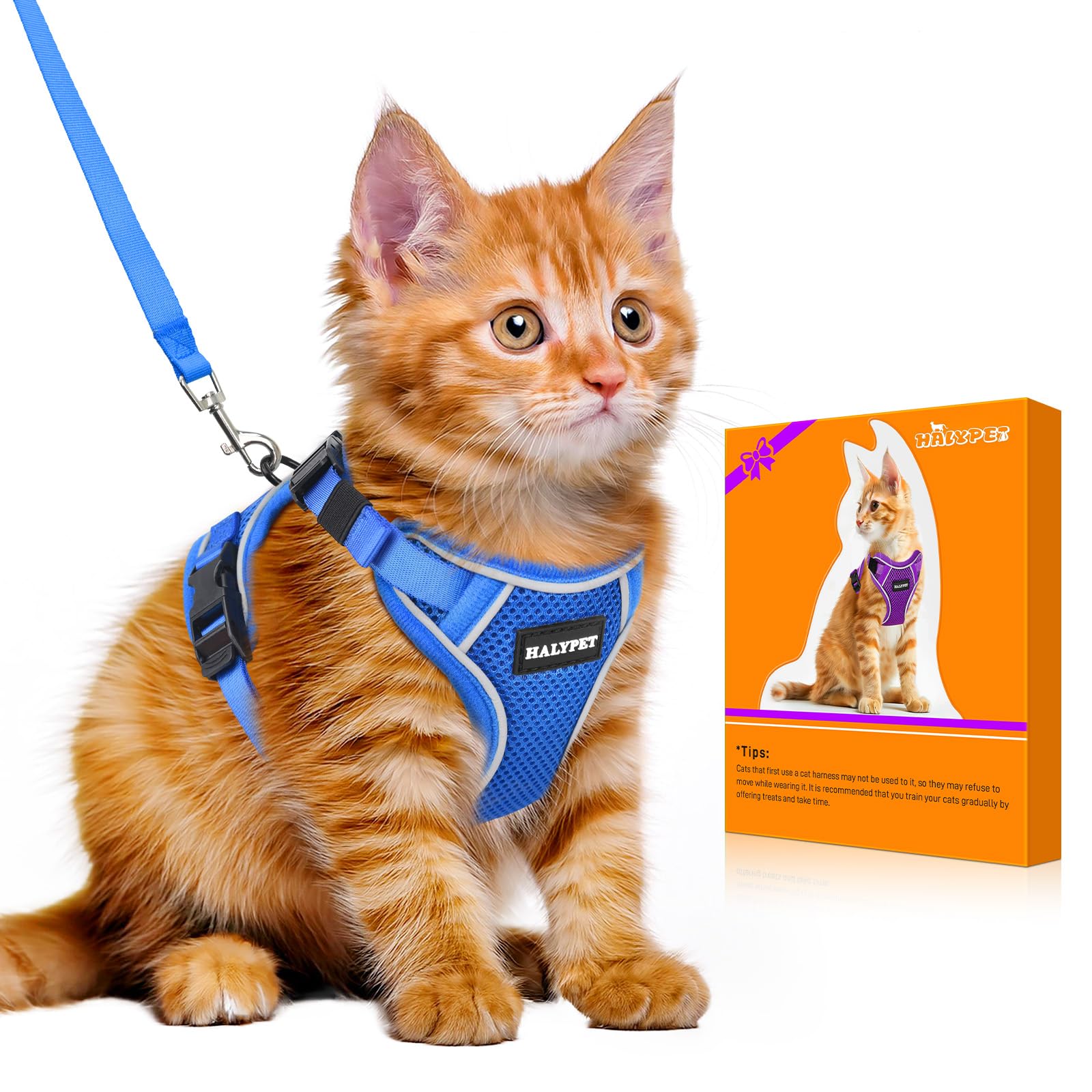 Amazon.com : Halypet Cat Harness and Leash Set [MAX Safety 4th-Gen ...