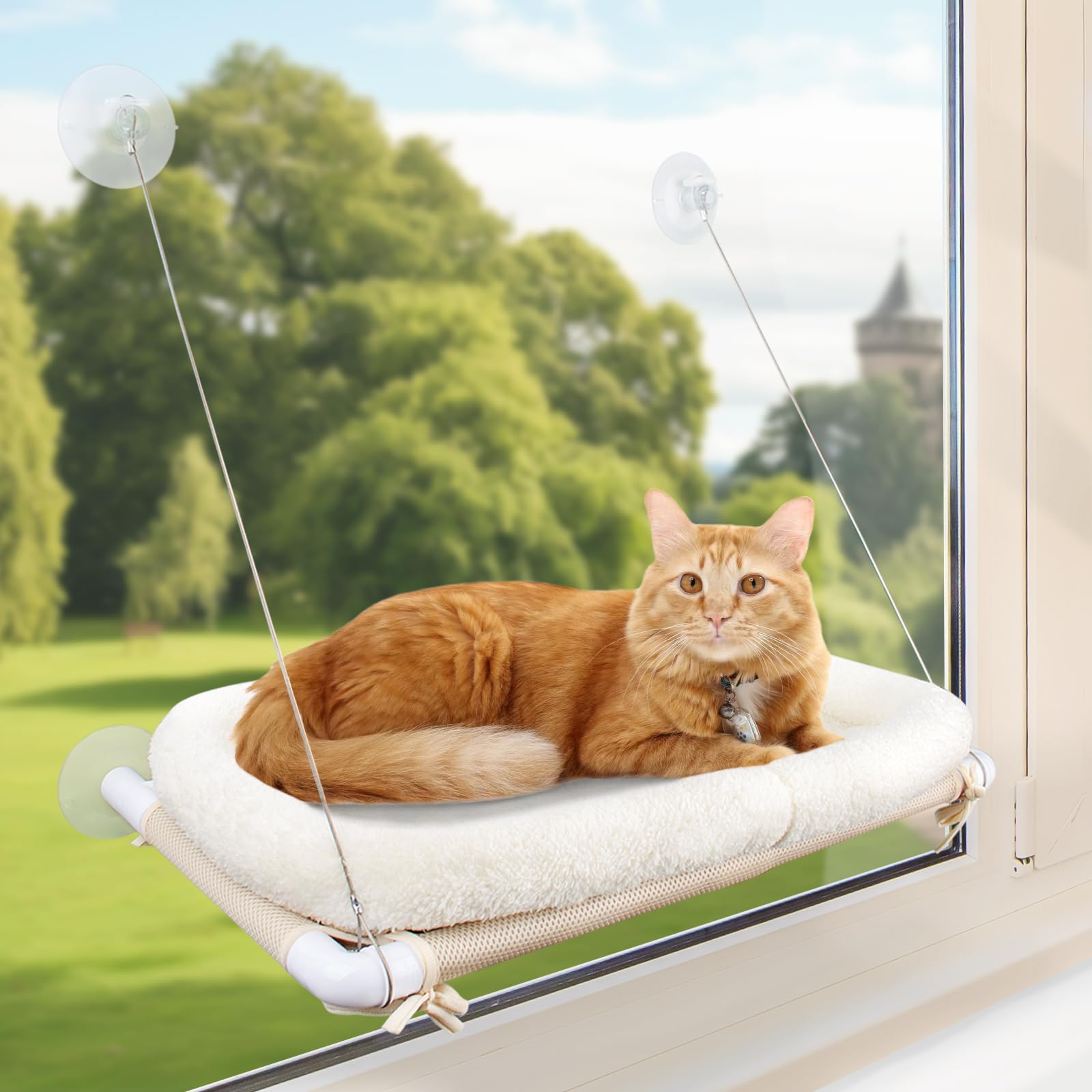 Amazon.com : Cat Bed Window, Cat Window Hammock Window Perch, Safety ...