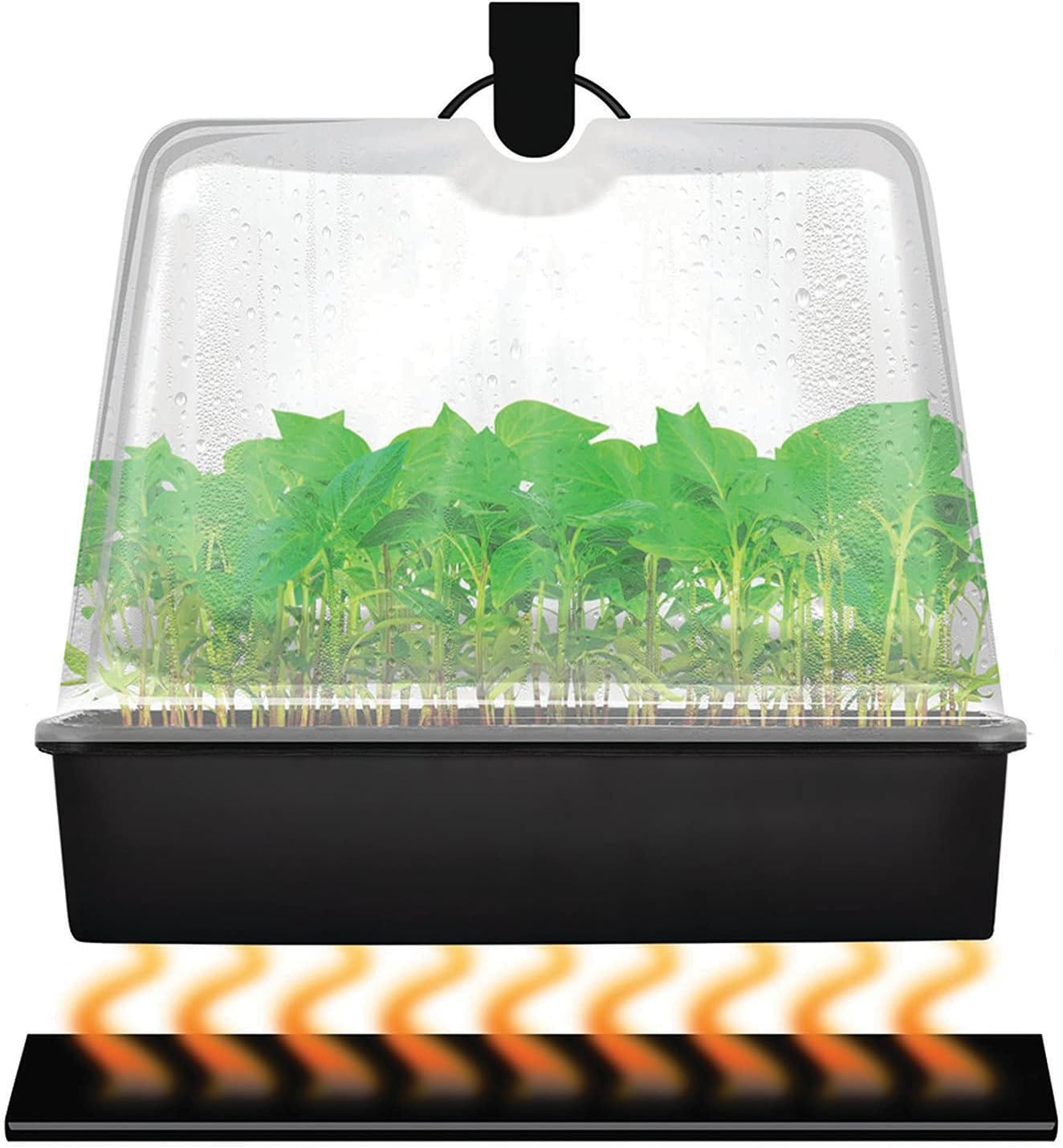 Review Super Sprouter Premium Heated Propagation Kit for Starting Seeds ...