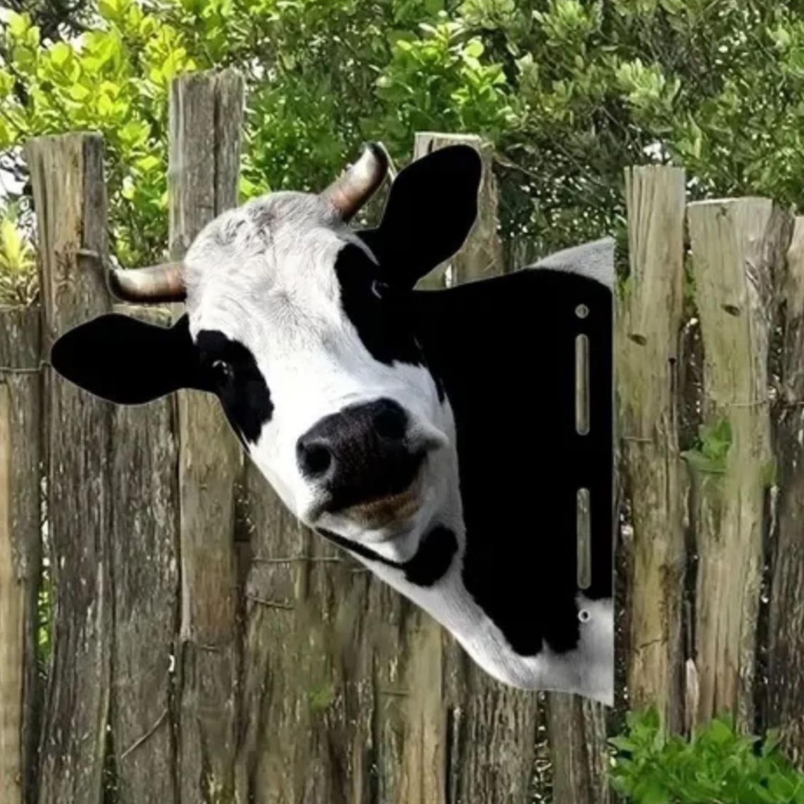 Mostrar Silueta De Ganado Pegatinas De Dibujo Ganado | Diseños