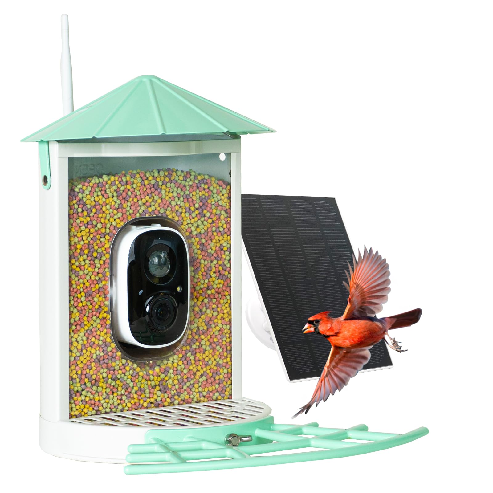 Bird Feeder with Camera: Wireless Bird Feeder with Solar Panel - Motion Activated & Watching HD ...