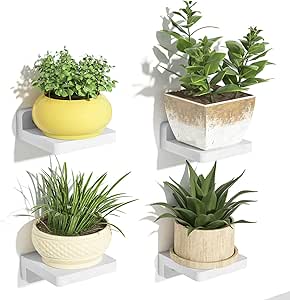 Amazon.com: SRIWATANA Mini Floating Shelves Wall Mounted, 4 Inches Wood ...