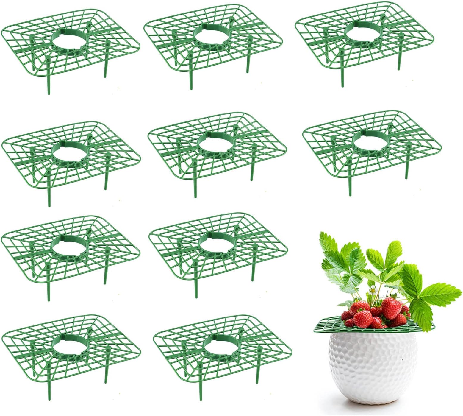 Amazon.com : 10 Pack Strawberry Supports Keeping Fruit Elevated ...