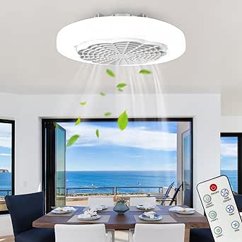 Amazon.com: Neatmeat 10 Inch Socket Ceiling Fan with Light and Remote ...