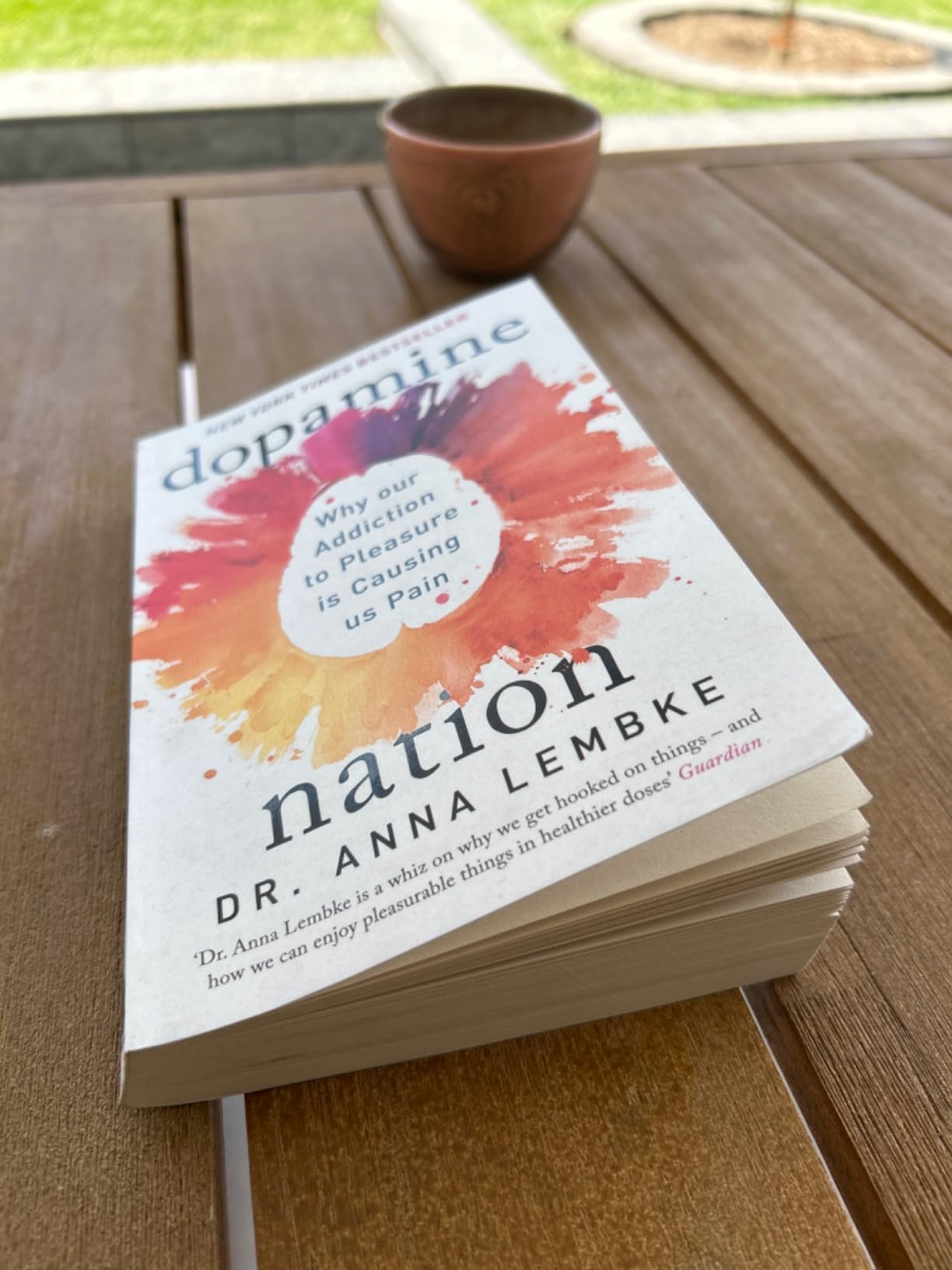 Dopamine Nation: Finding Balance in the Age of Indulgence : Lembke, Dr ...