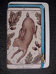 Woodland Wardens: A 52-Card Oracle Deck & Guidebook: Roux, Jessica ...