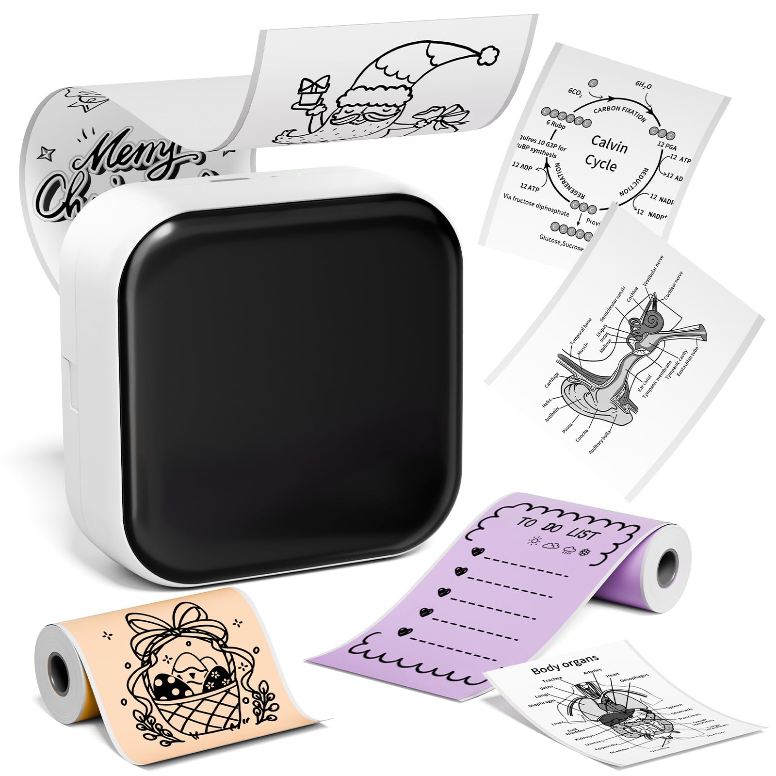 Amazon.com: Ponek Print Pods Mini Printer, Sticker Maker Machine M02X ...