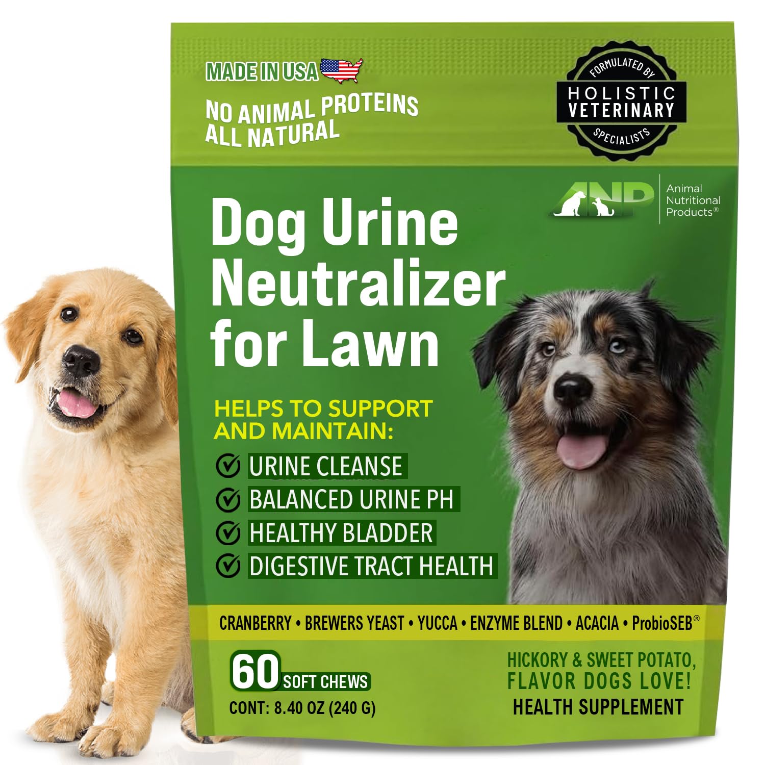 Amazon.com : ANP Green Lawn Saver Plus 2 in 1 for Healthy Lawn and ...