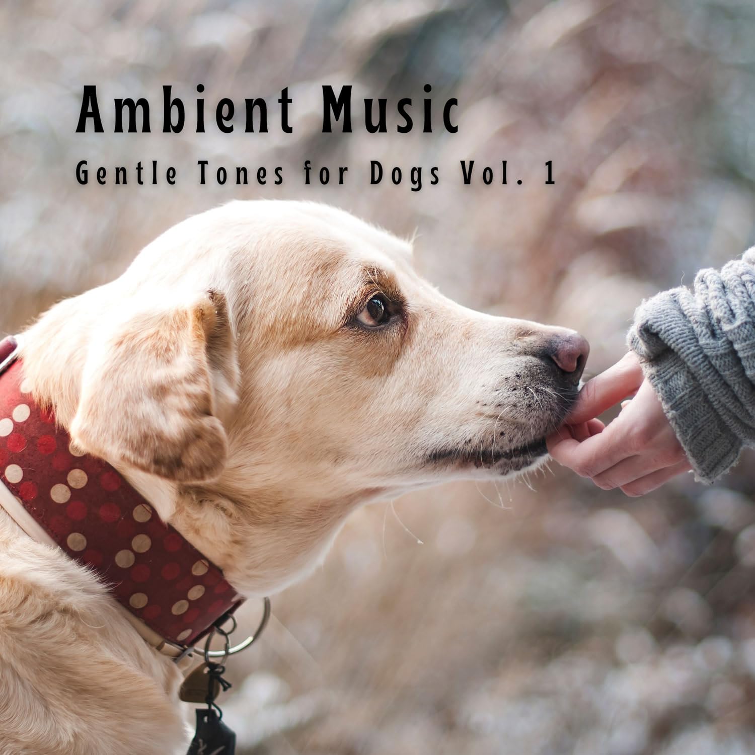 Piano Meditation song by The Dog Relaxer, Relaxmydog & Dog Music Dreams ...