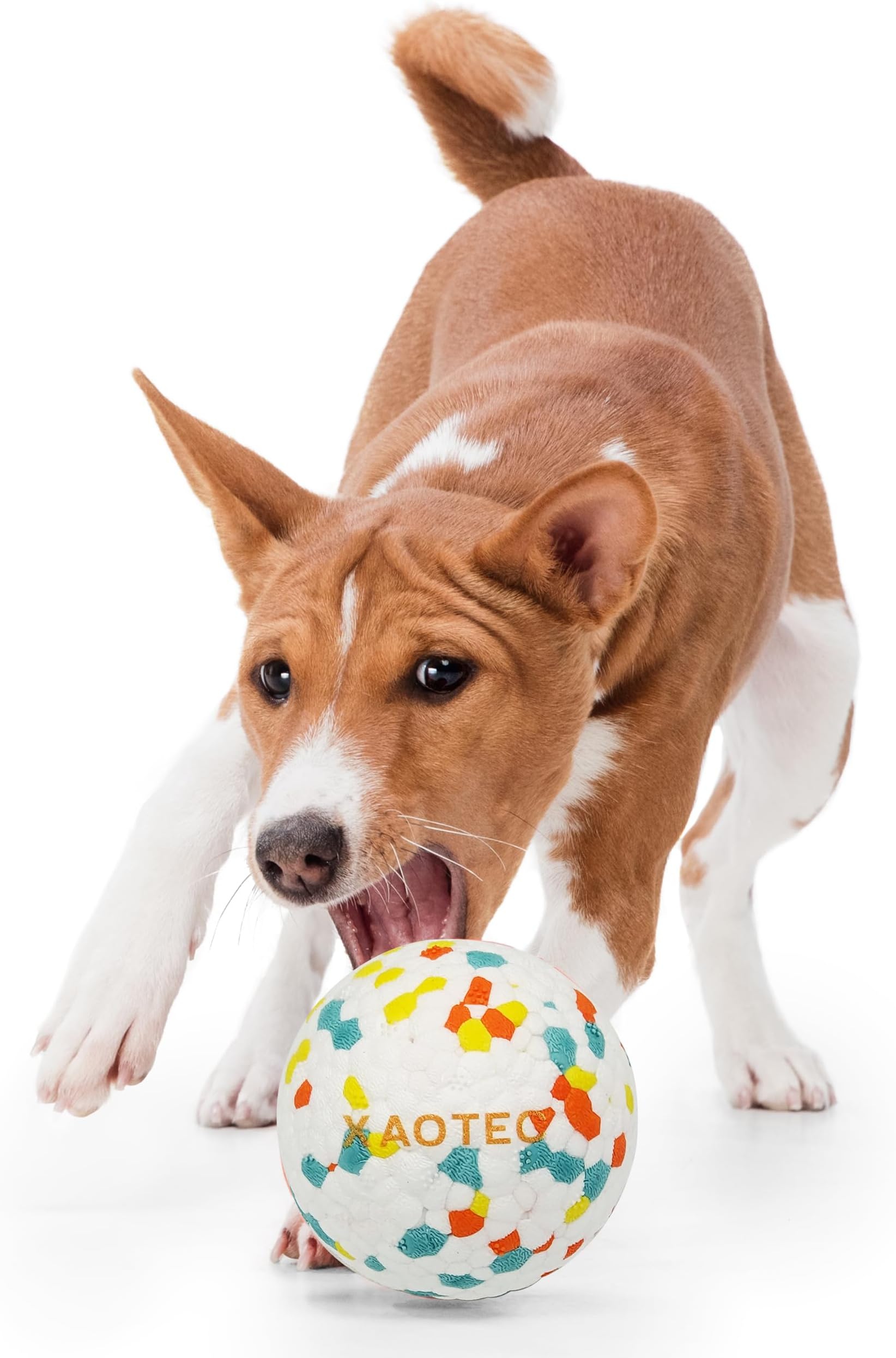 Pet Supplies : susu & wuwu Durable Dog Chew Balls for Aggressive ...