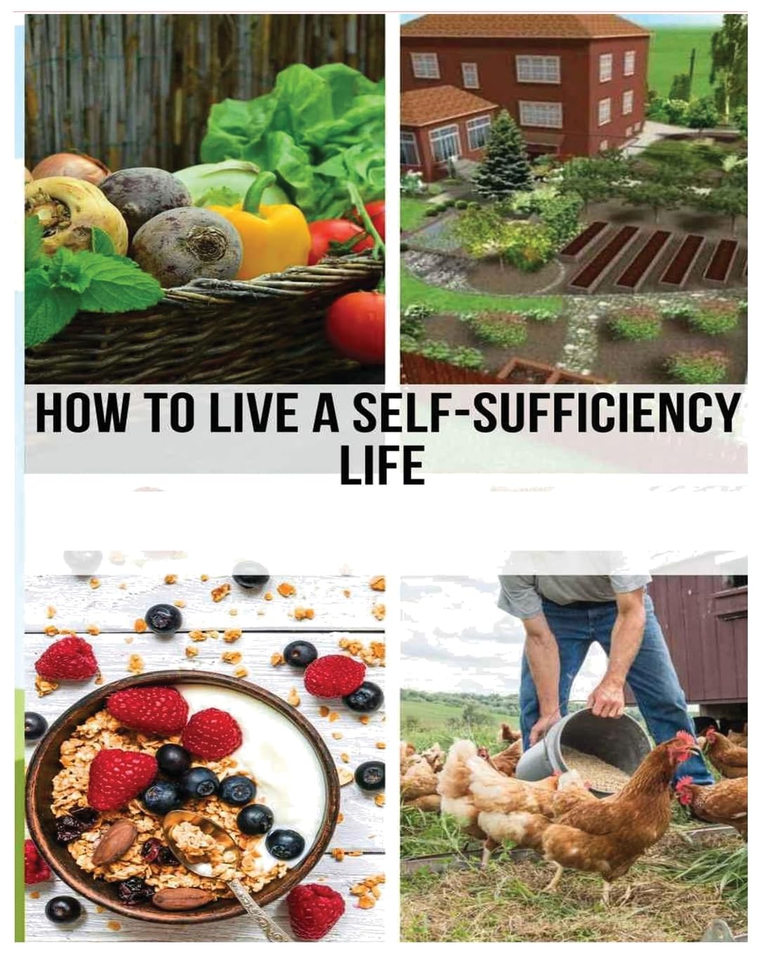 Buy Mastering the Self-Sufficient Life: A Comprehensive Guide Book ...