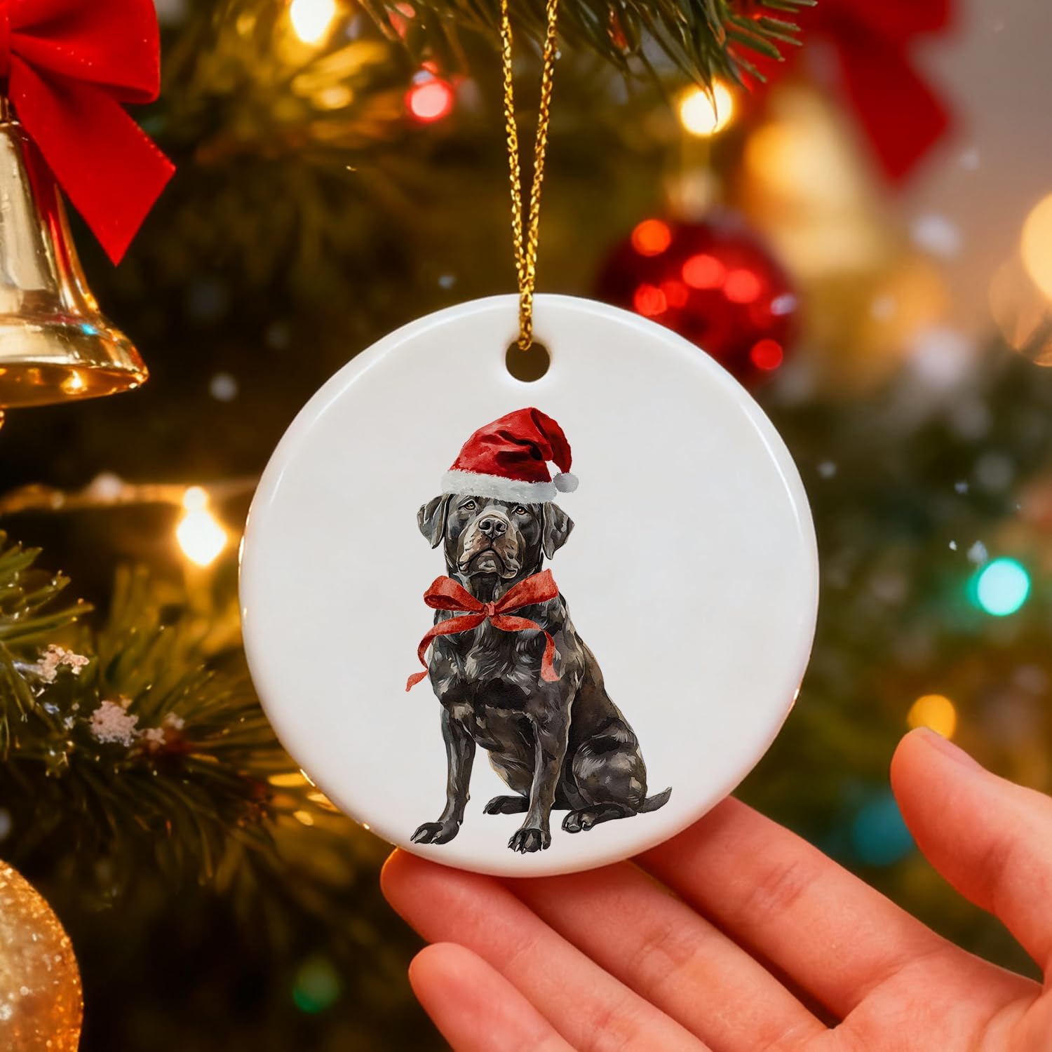 Amazon.com: JINYO Black Labrador Christmas Ornament, Black Labrador ...