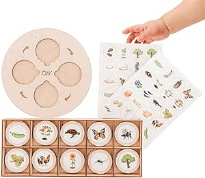 Life Cycle Puzzle Kit | Life Cycle Puzzle Kit of Animals, Plants and ...