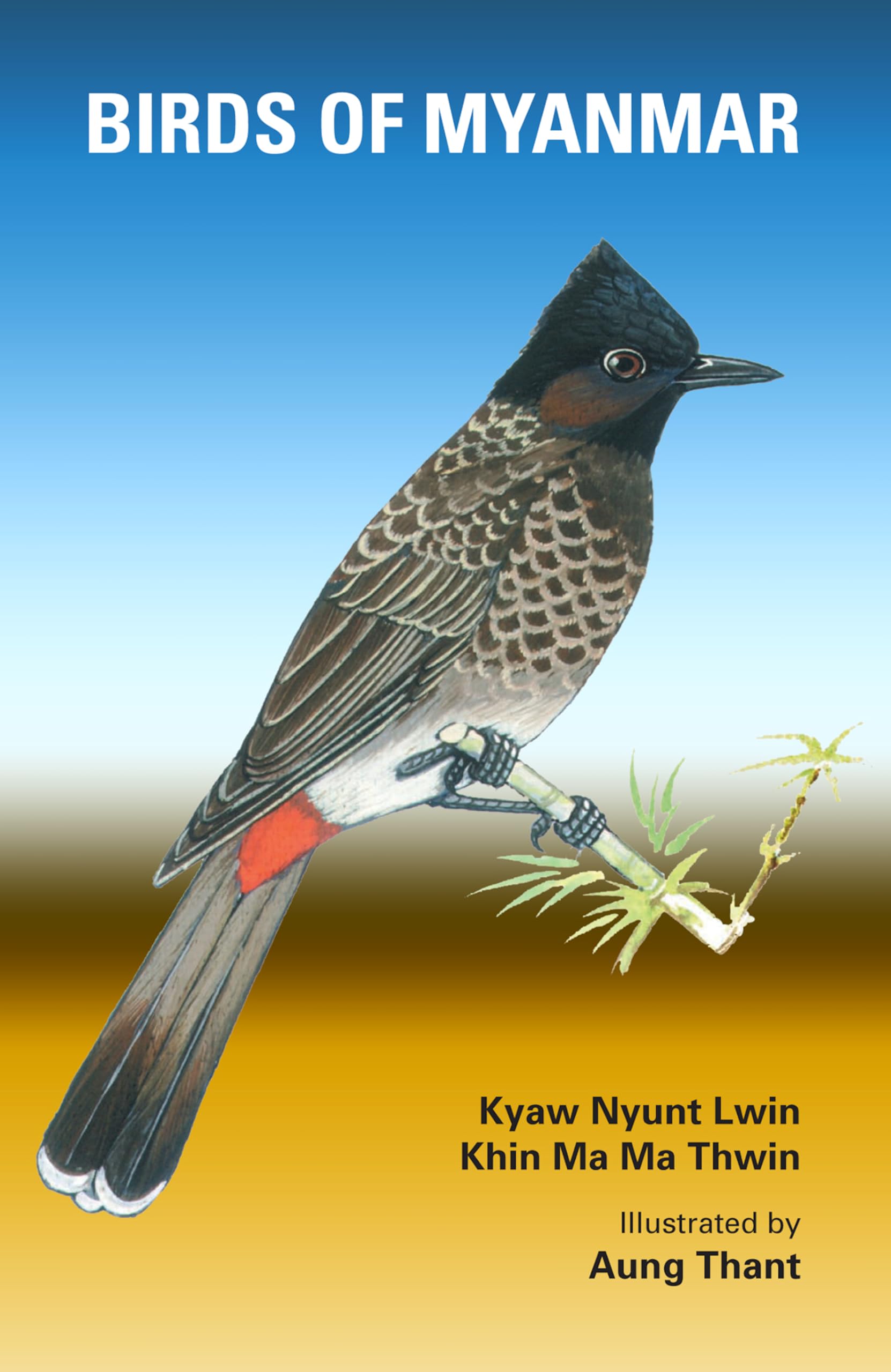 Birds of Myanmar: Lwin, Kyaw Nyunt, Thwin, Khin Ma Ma: 9789749575680 ...