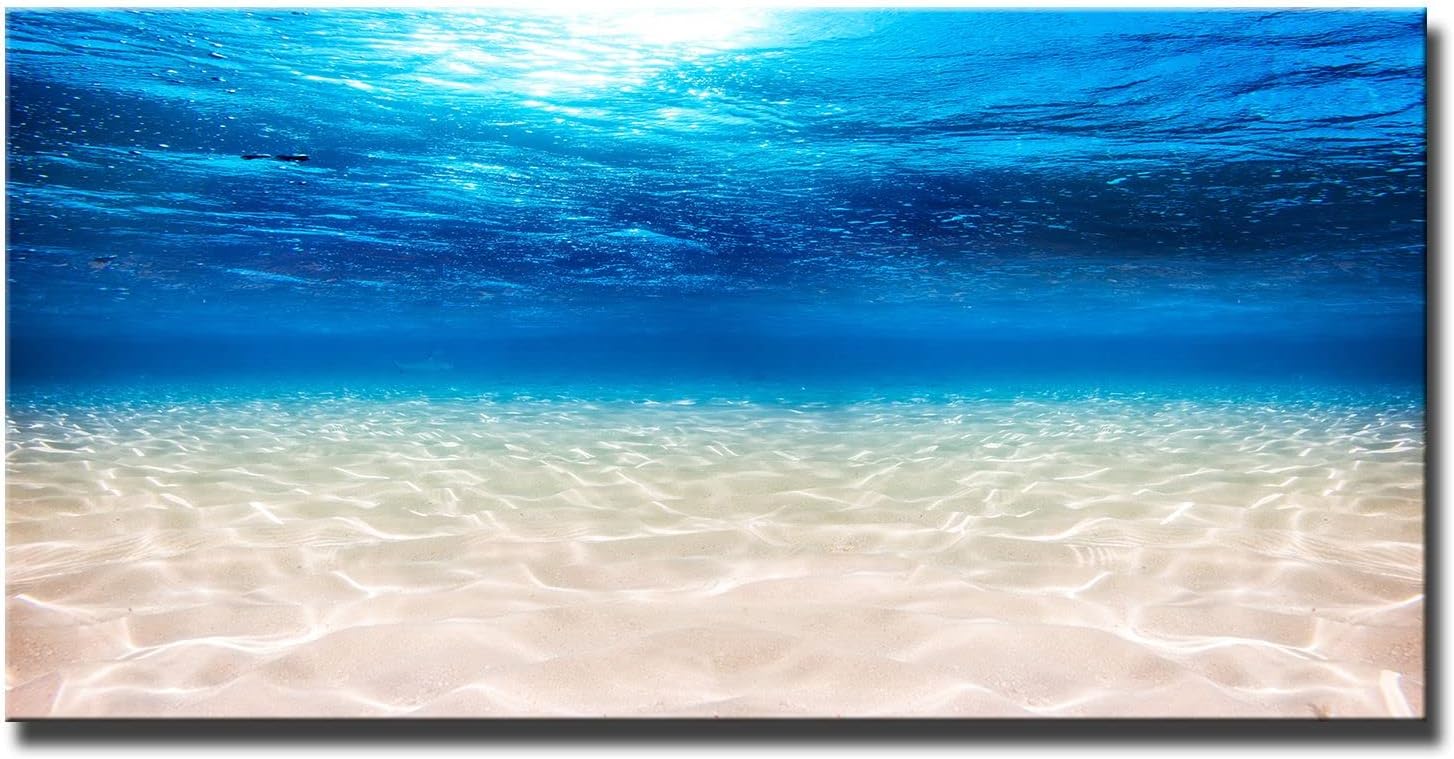 Amazon.com: YODOOLTLY Blue Ocean Sea Wall Art Canvas Prints Picture ...