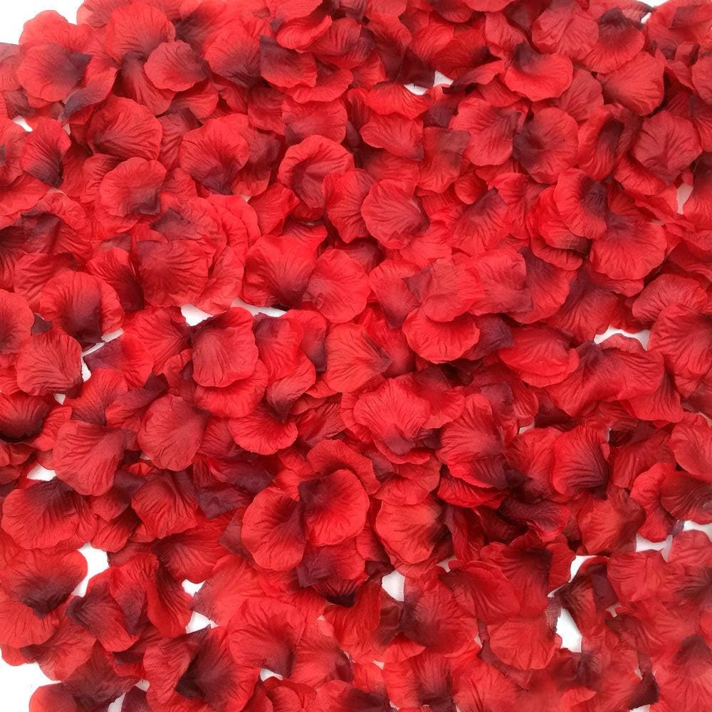Amazon.com: BESKIT 3000 PCS Dark Red Artificial Silk Rose Petals for ...