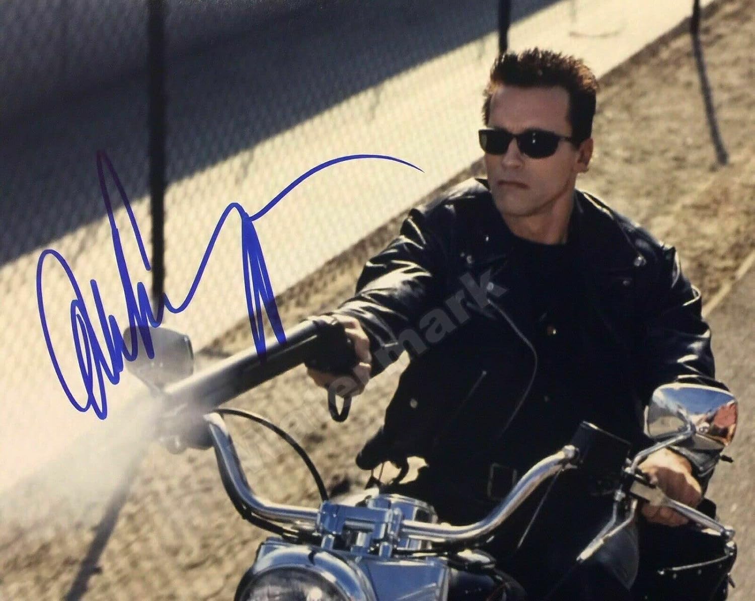 Amazon.com: Arnold Schwarzenegger TERMINATOR Signed Autograph Photo ...