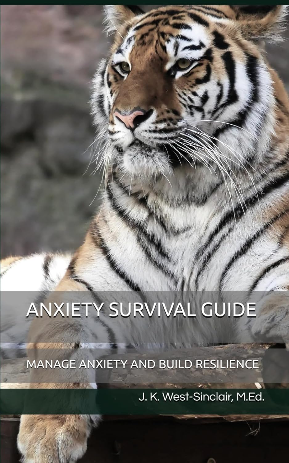 Anxiety Survival Guide: How to Manage Anxiety and Build Resilience ...