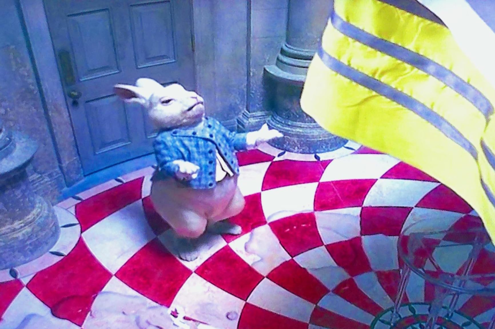 Amazon.com: Alice in Wonderland [VHS] : Robbie Coltrane, Whoopi ...