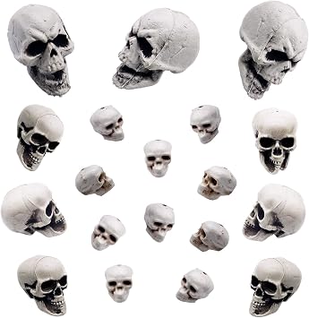 Amazon.com: Halloween Realistic Fake Simulation Human Skull- Mini ...