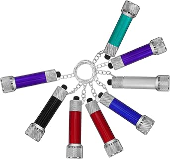 Amazon.com: VALICLUD 8pcs Portable Mini LED Flashlight Keychain Metal ...