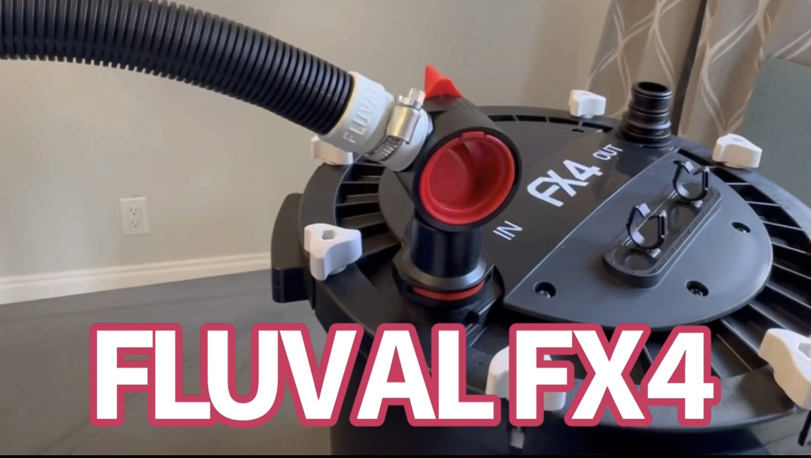 Watch Fluval FX4 Canister Filter on Amazon Live