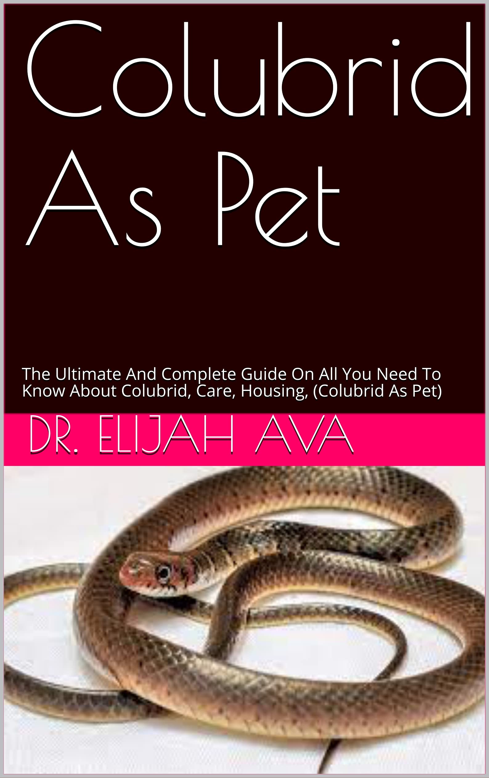 Buy Colubrid As Pet: The Ultimate And Complete Guide On All You Need To ...