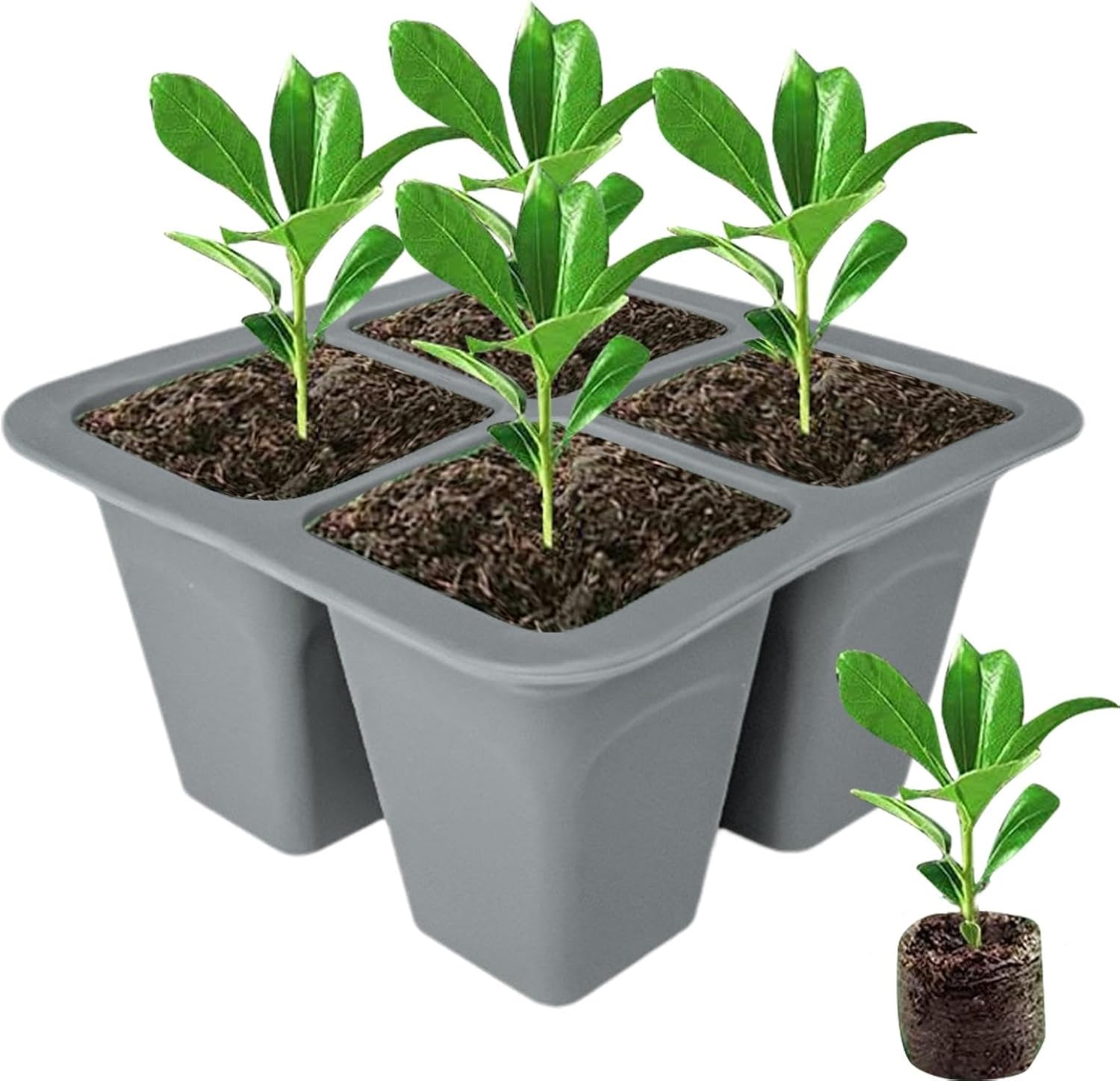 Amazon.com : Seedling Trays - Plant Starter Trays, Square Planter ...