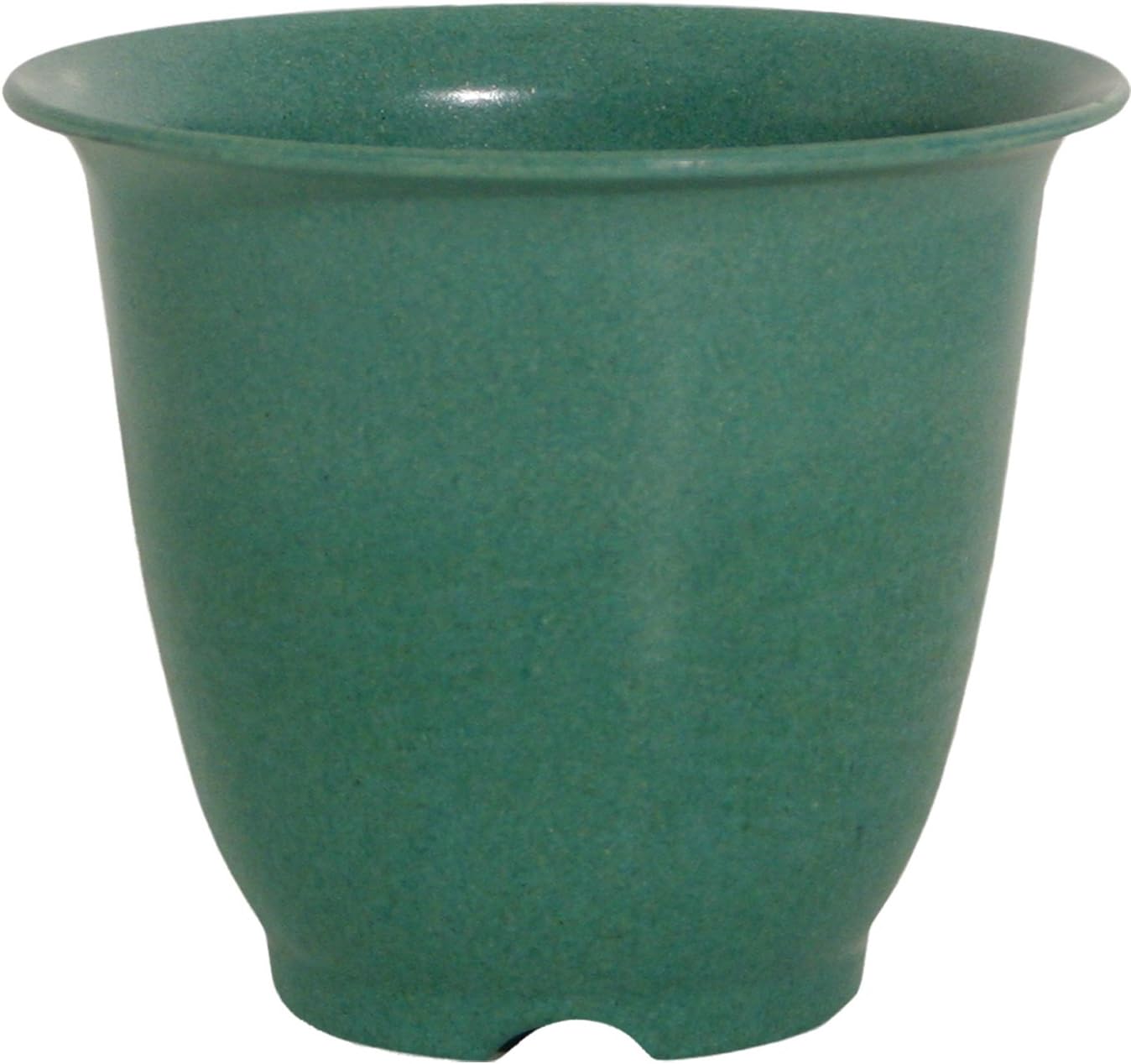 Amazon.com: Rush Creek Designs BIO831205516 5-Inch Jade Birch ...