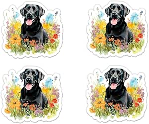 Amazon.com - Altok Graphics Pack of 4-3 Inch Stickers - Black Labrador ...