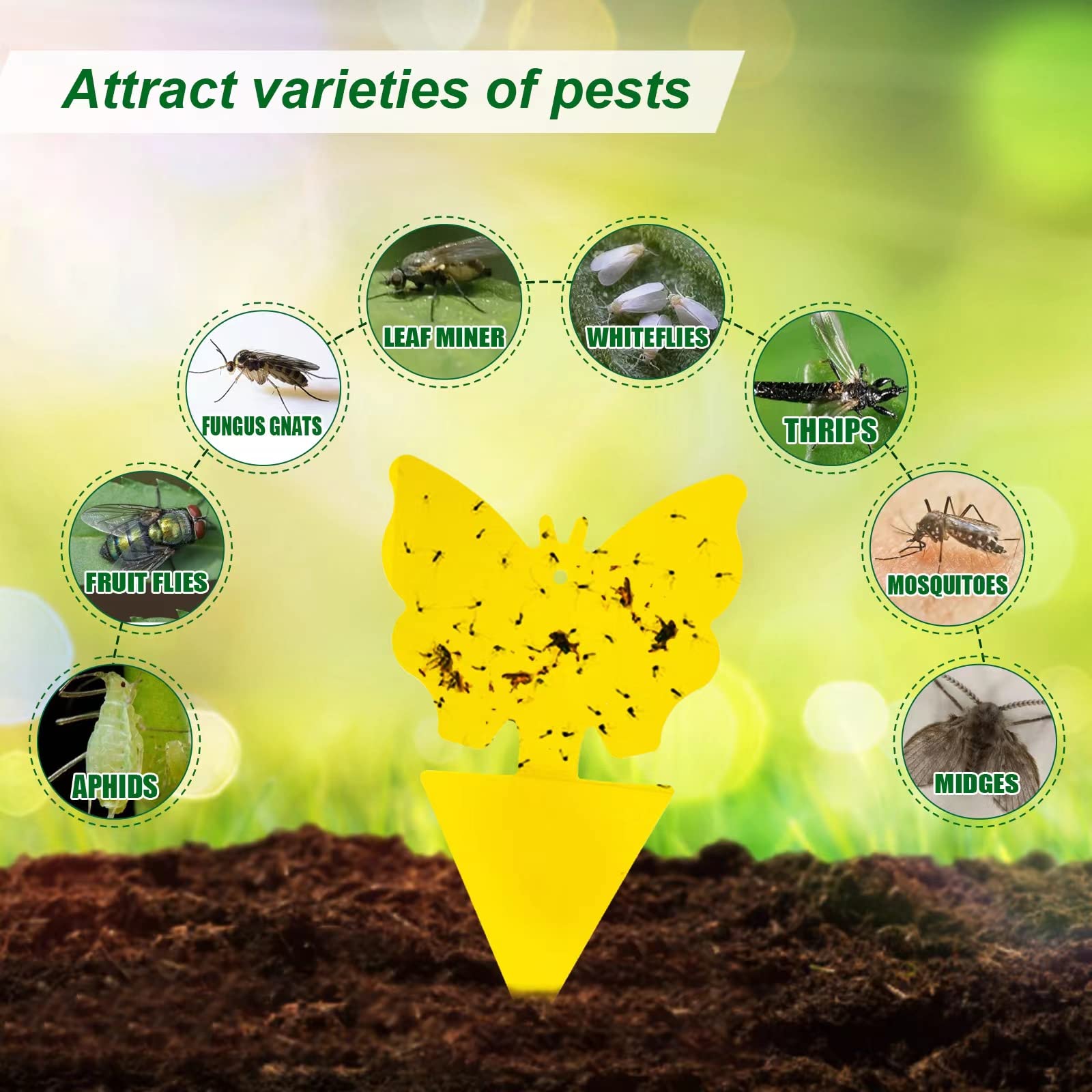 Snapklik.com : 48 Pcs 4 Shapes Yellow Extremely Sticky Traps For Fungus ...