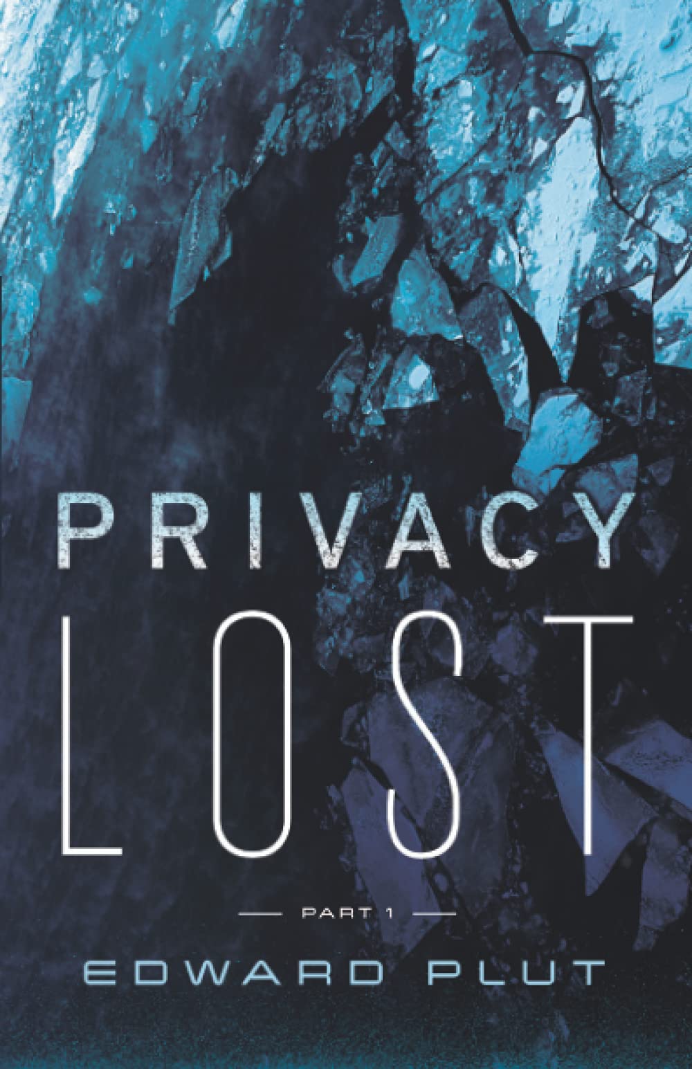 Privacy Lost: Plut, Edward: 9781737614005: Amazon.com: Books