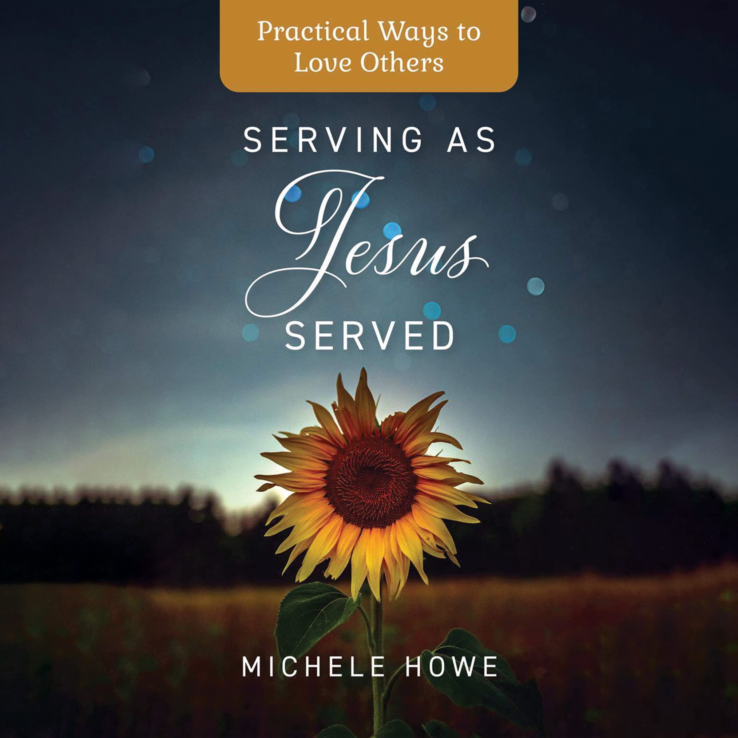 Serving as Jesus Served: Practical Ways to Love Others: Howe, Michele ...