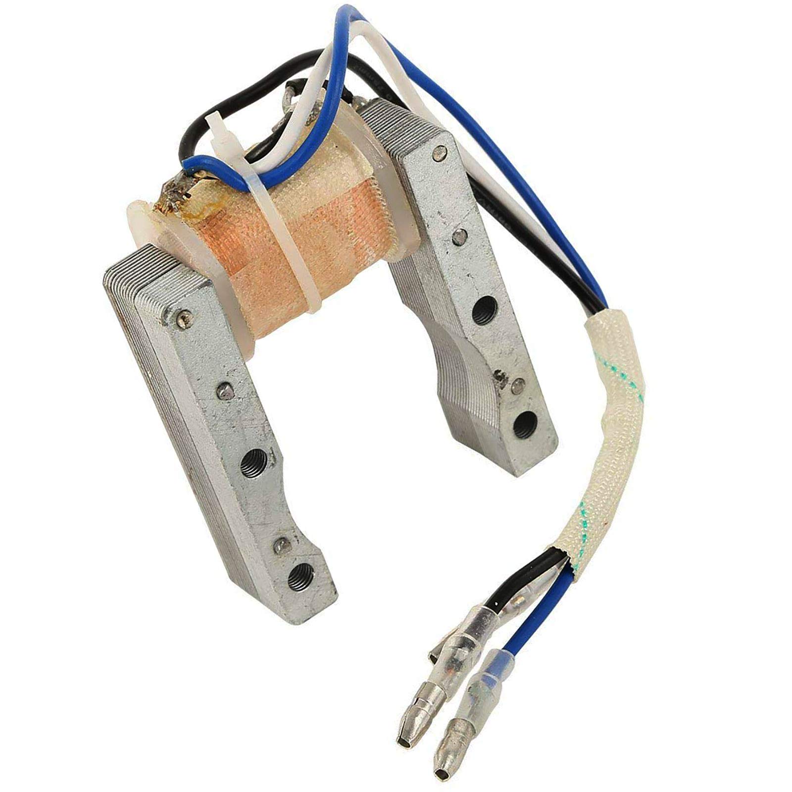 Buy High performance Magneto Coil for 49cc to 80cc 2-Stroke Engine ...