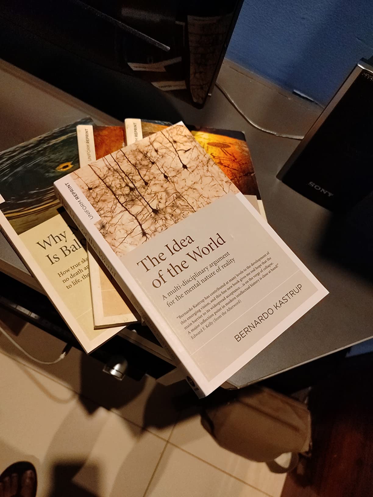 Buy IDEA OF THE WORLD Book Online at Low Prices in India | IDEA OF THE ...