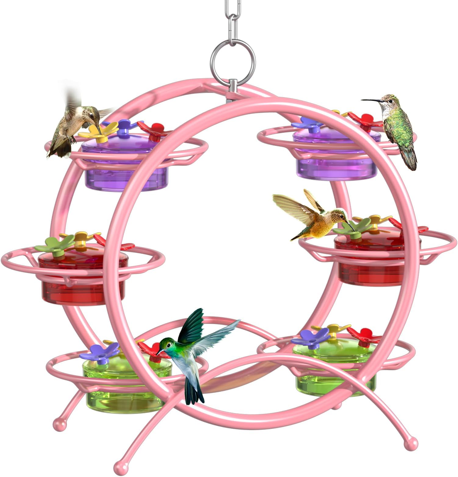 Amazon.com : Hummingbird Feeder Window with Hinge Lid and Hanging ...