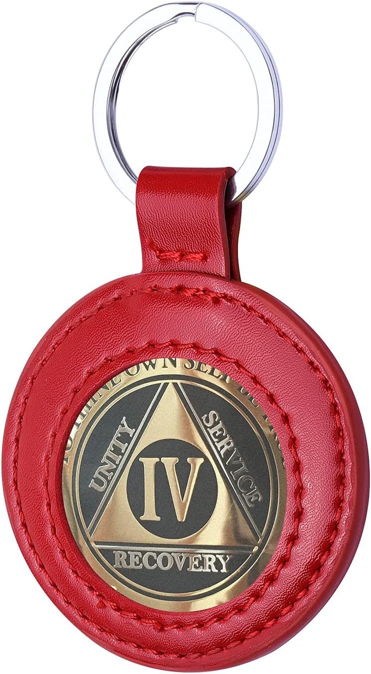 Amazon.com : Wisdompro PU Leather Coin Holder Keychain for AA Medallion ...
