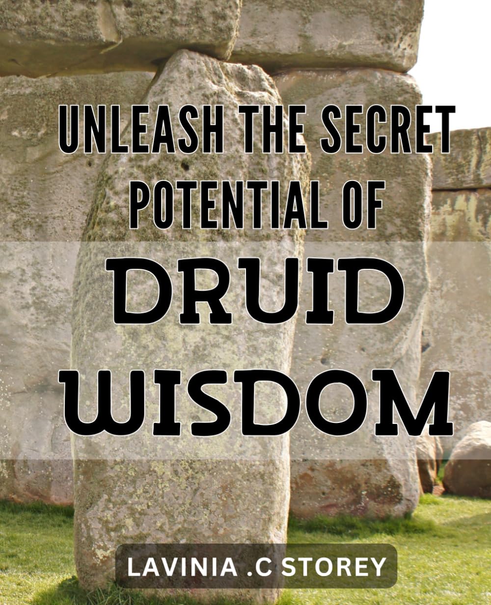 Unleash the Secret Potential of Druid Wisdom: Unlock the Power of ...
